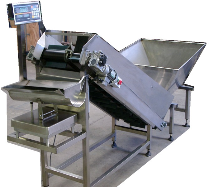 Potato Batch Weigher – ALLPACK Designs and Solutions